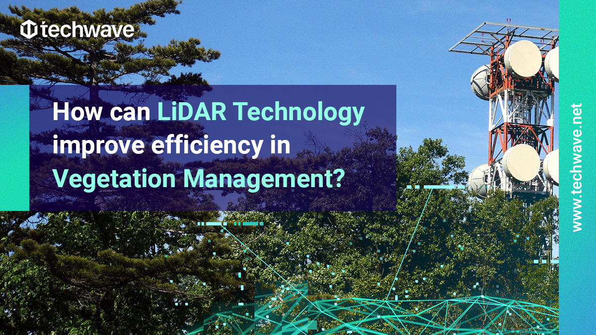 How Can LiDAR Technology Improve Efficiency In Vegetation Management?