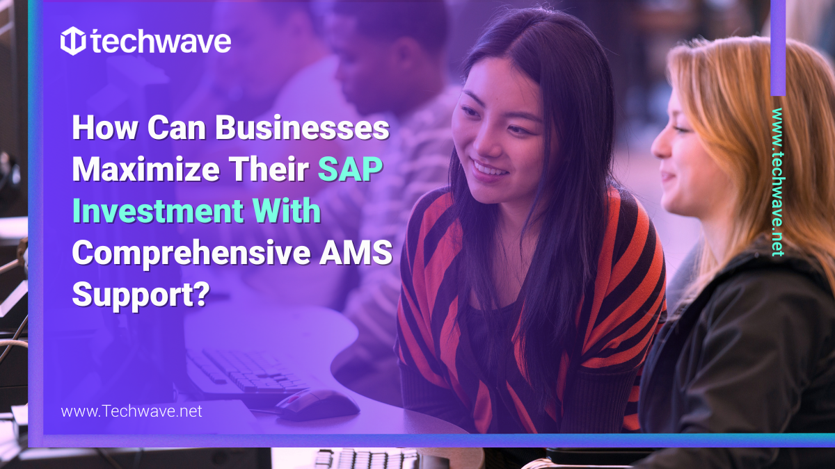 How Can Businesses Maximize Their SAP Investment With Comprehensive AMS ...