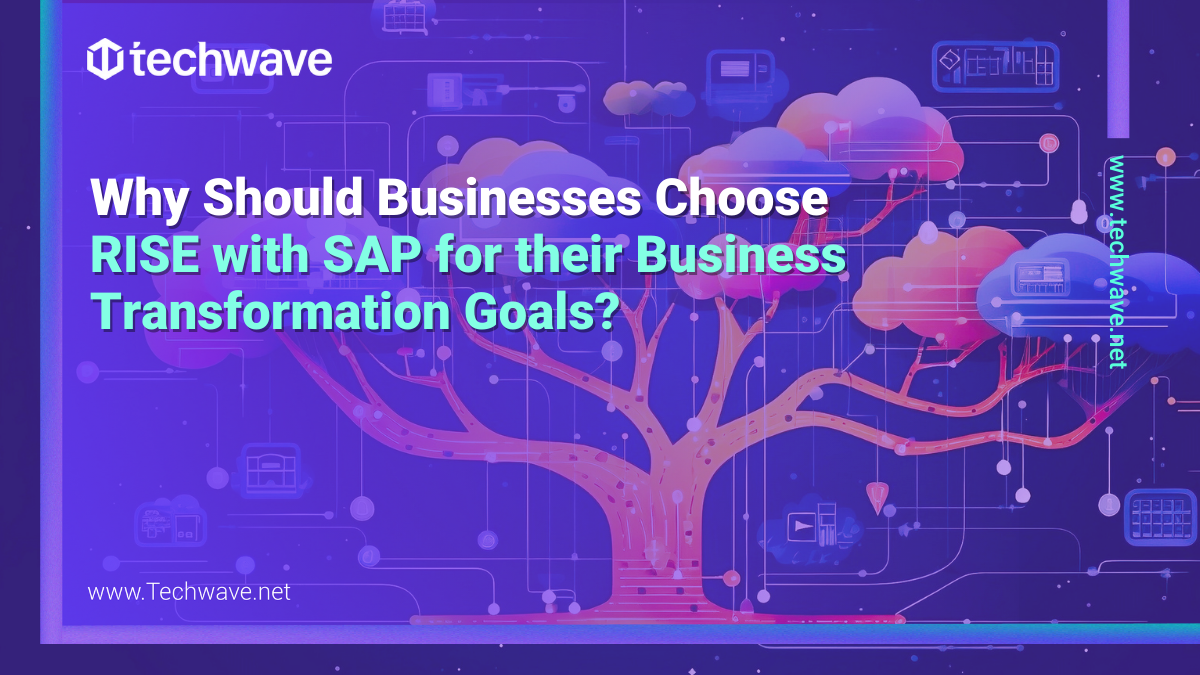 Why Should Businesses Choose RISE with SAP for their Business ...