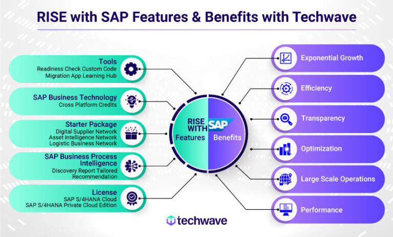 Why Should Businesses Choose RISE with SAP for their Business ...